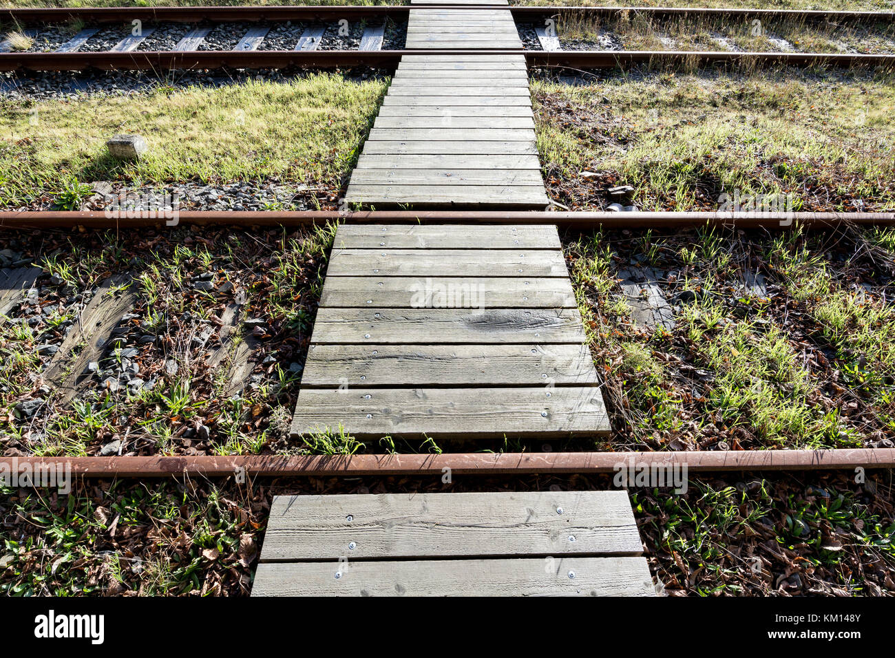 Wooden spur hi-res stock photography and images - Alamy