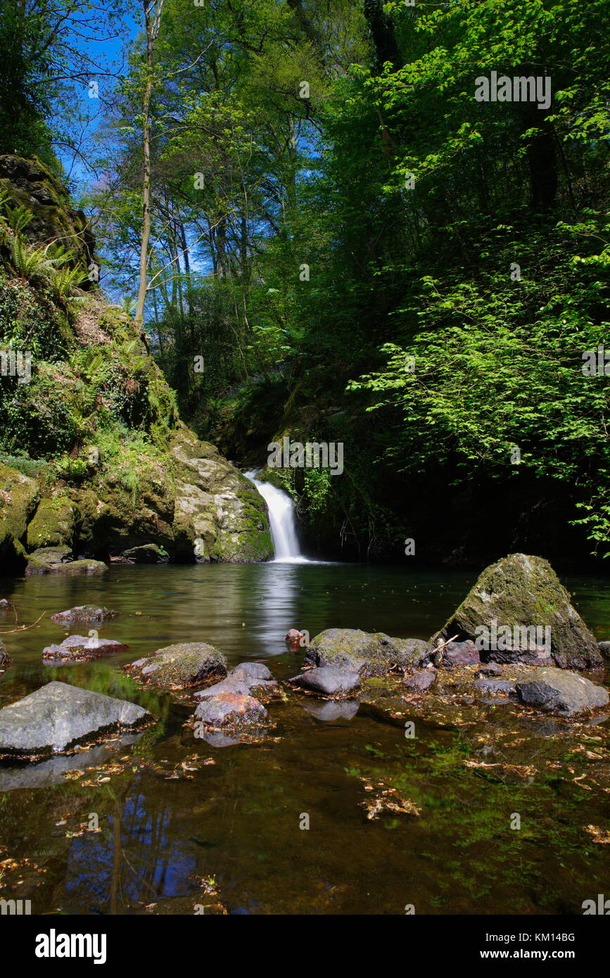 Plas Cadnant Garden Stock Photo - Alamy