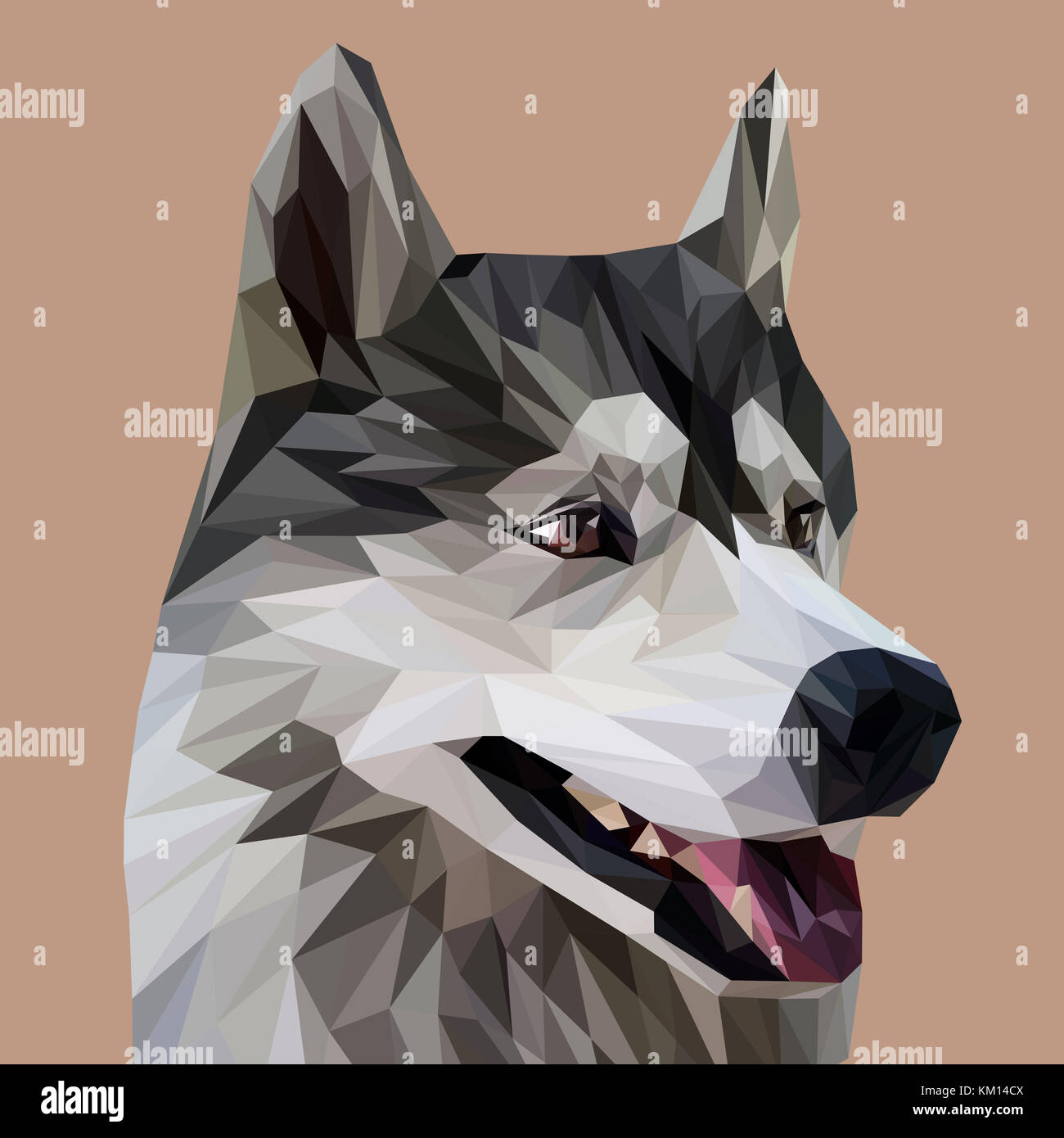 Dog polygonal hi-res stock photography and images - Alamy