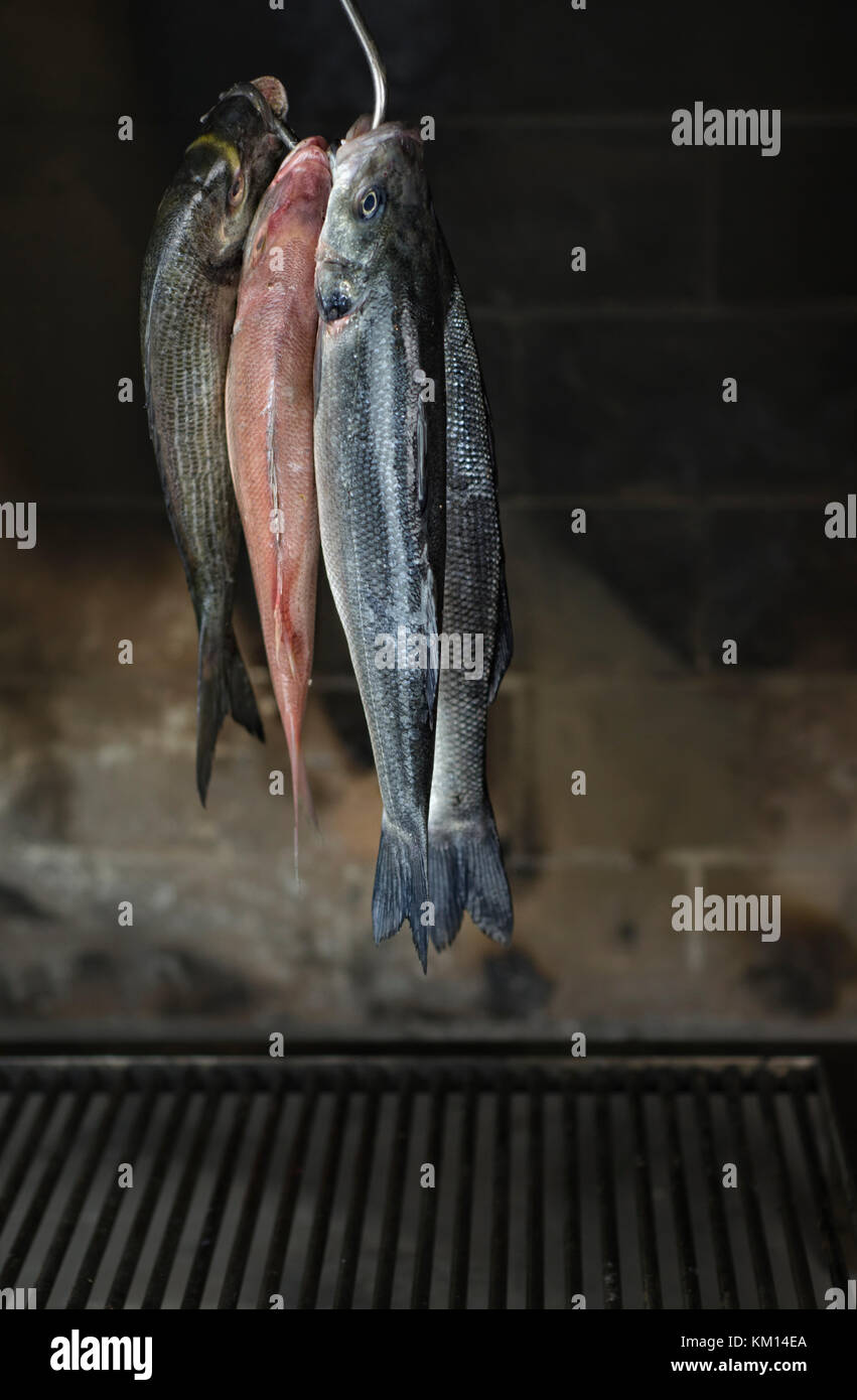 Zubatac hi-res stock photography and images - Alamy