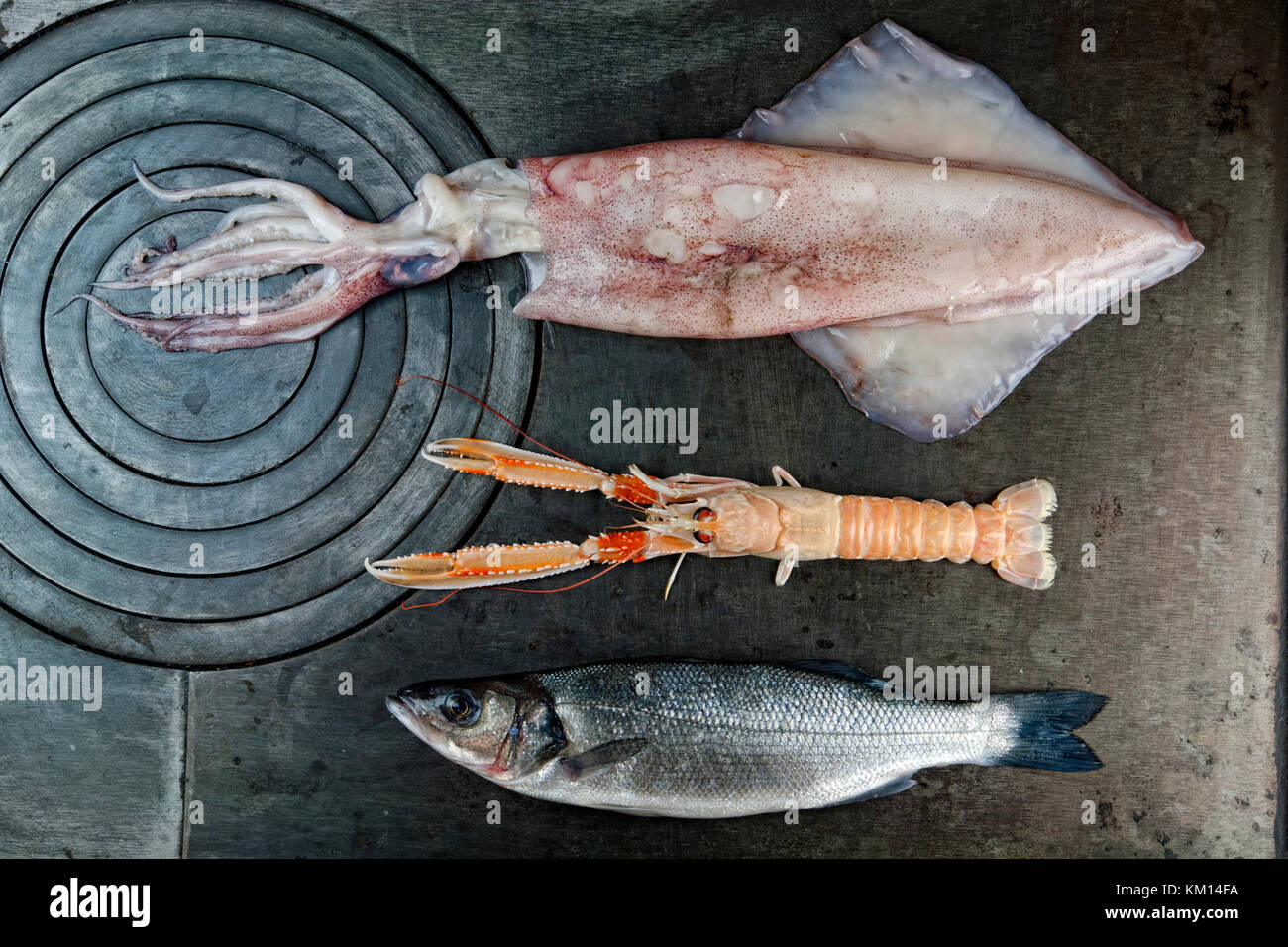 Lignja hi-res stock photography and images - Alamy