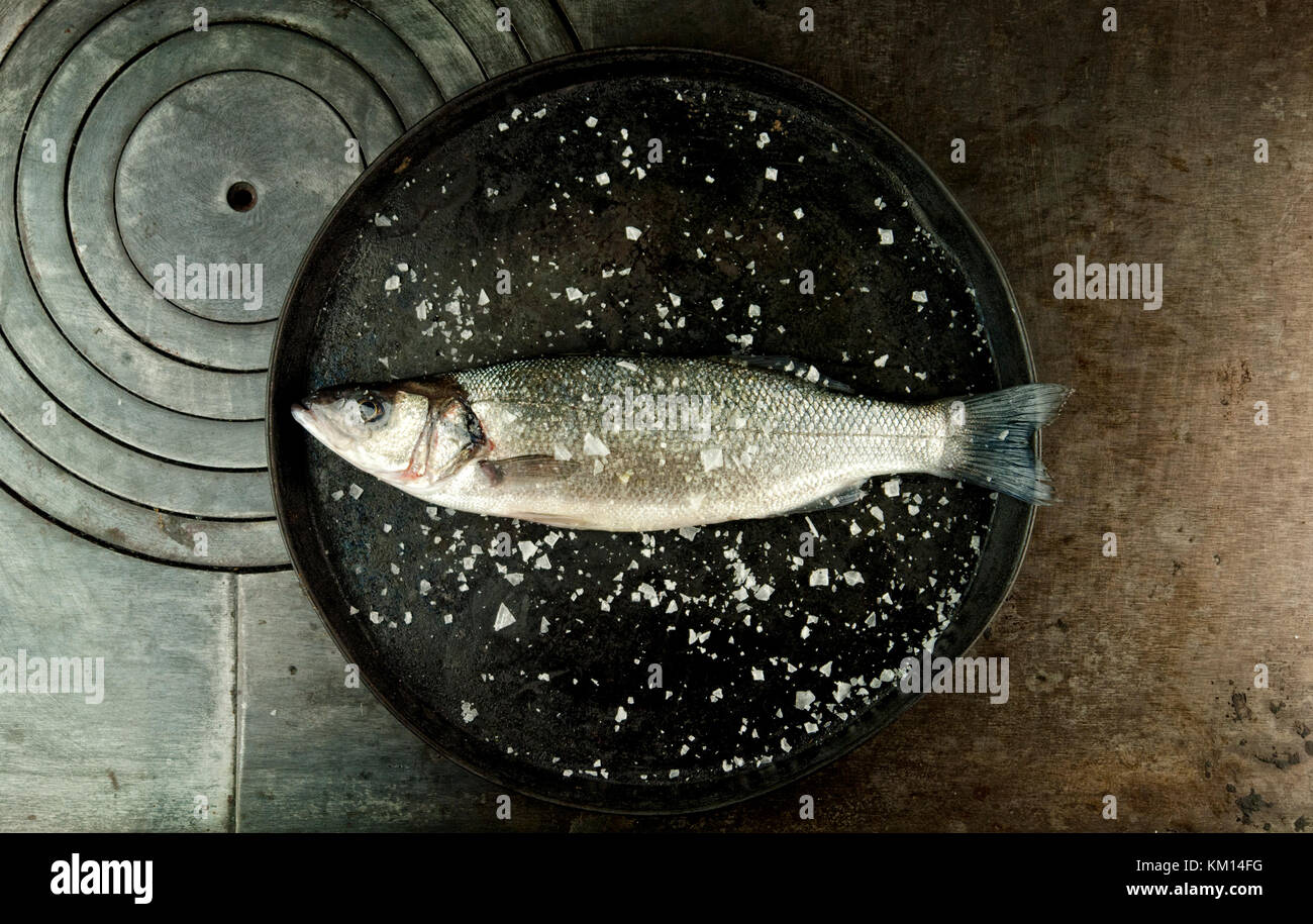 Zubatac hi-res stock photography and images - Alamy