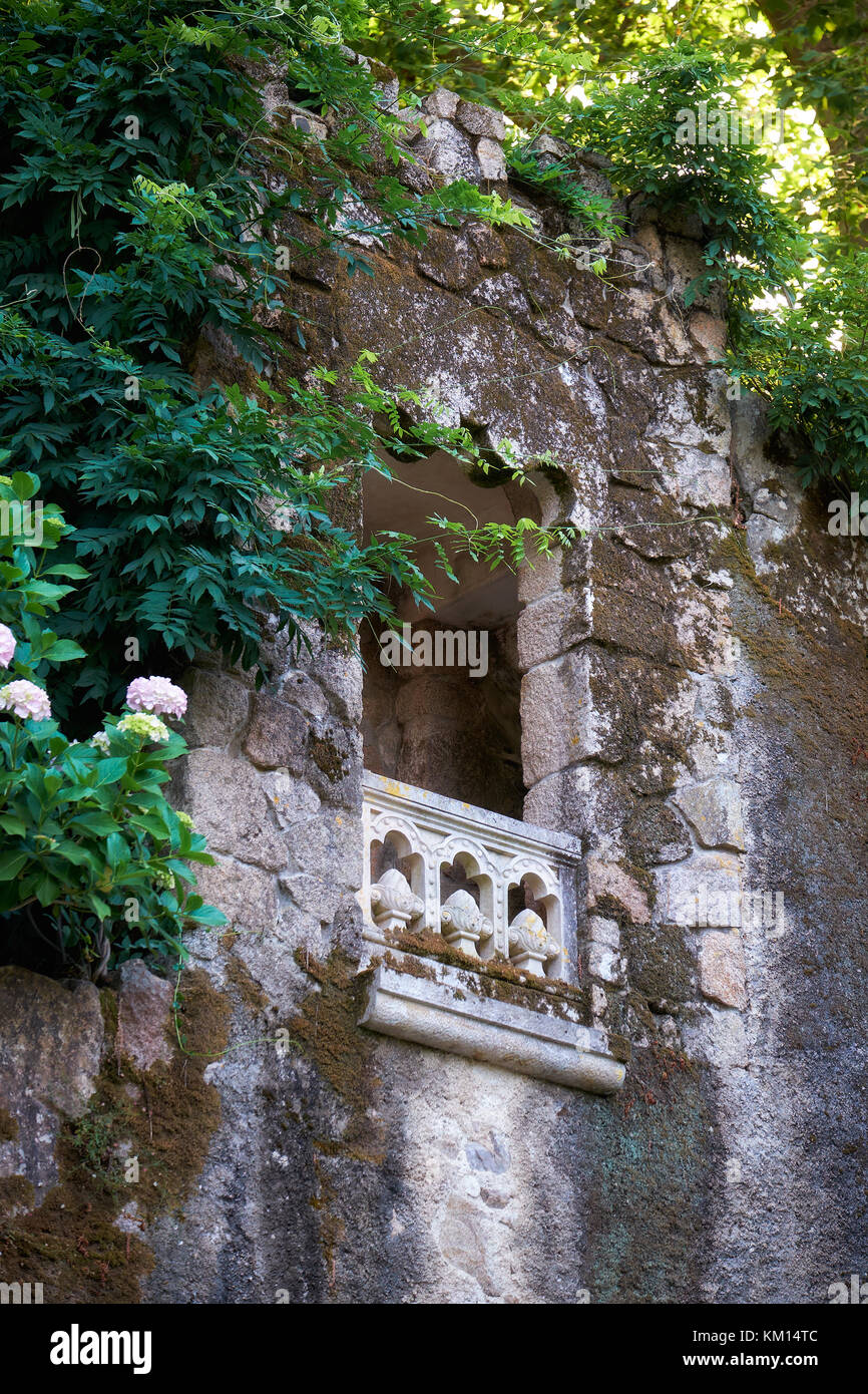 A window with a balcony in the old mossy wall twinned with plants of ...