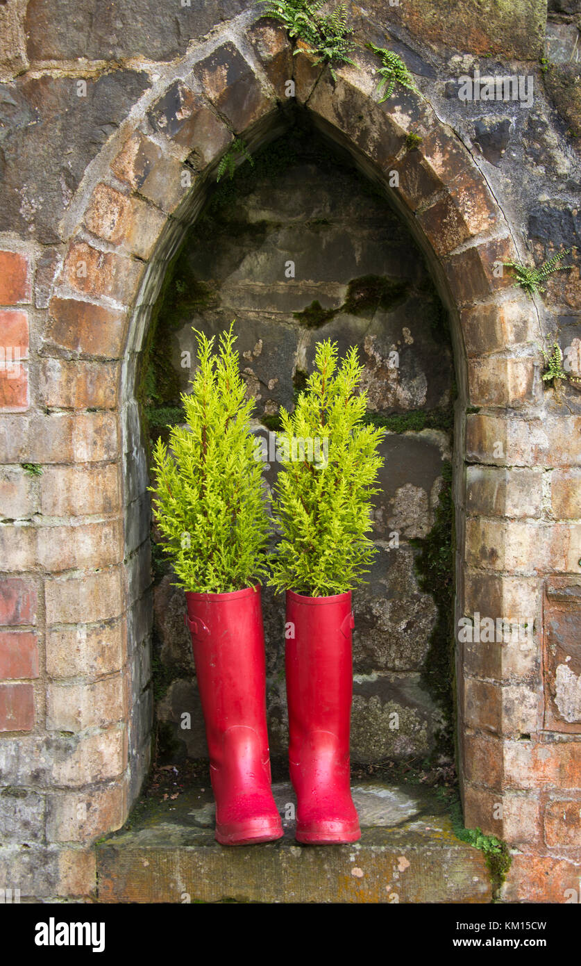 Tree boots hi-res stock photography and images - Alamy