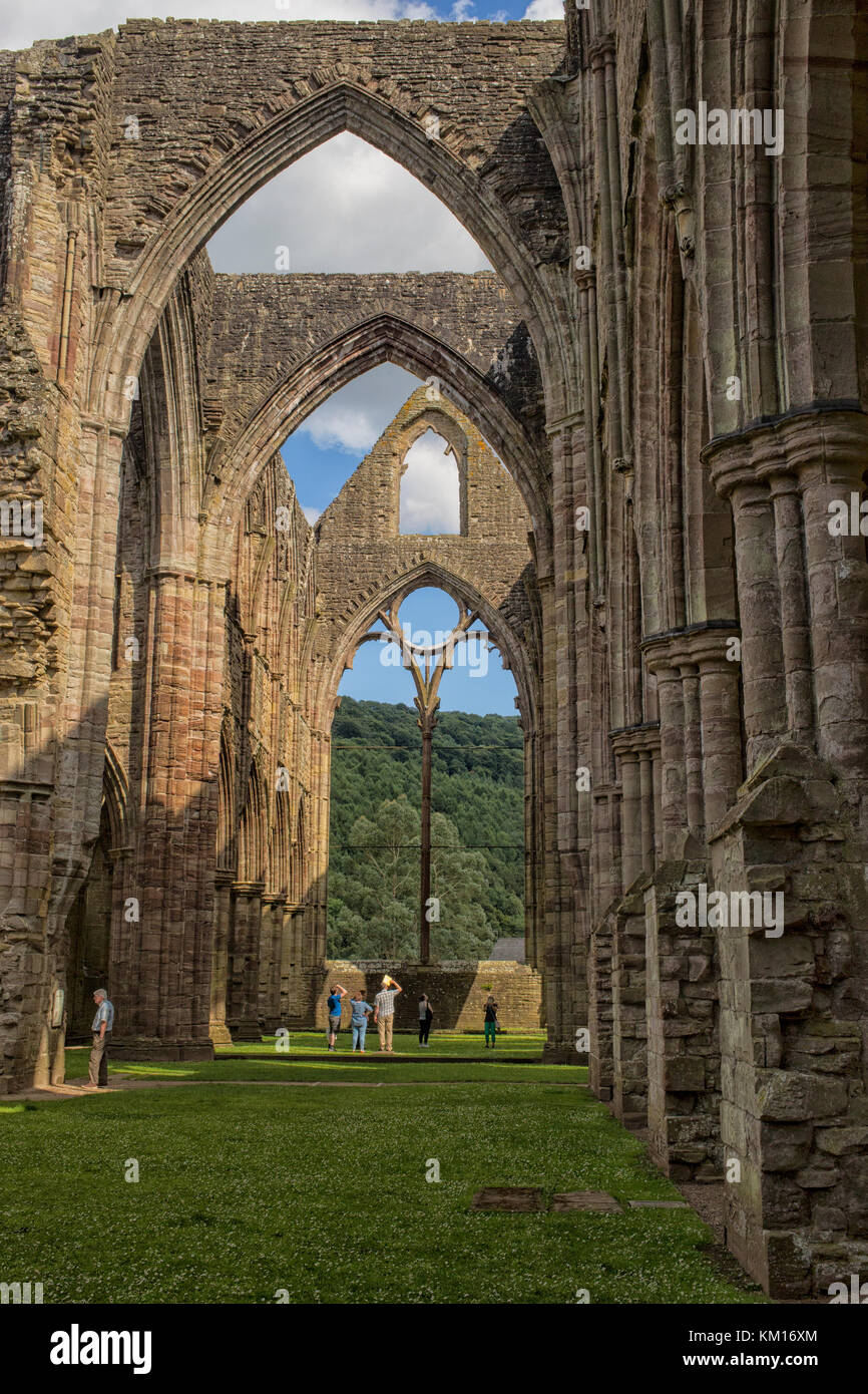 Tintern Abbey in the Wye valley in Wales, UK Stock Photo - Alamy