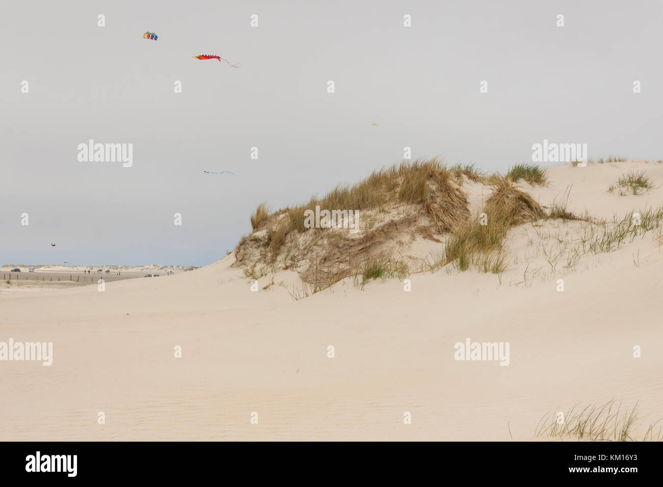 View on dunes on Romo Island in Denmark, Europe Stock Photo - Alamy