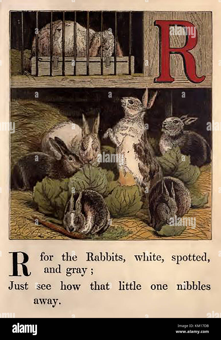 An historic coloured Victorian children's ABC book illustration - R for ...