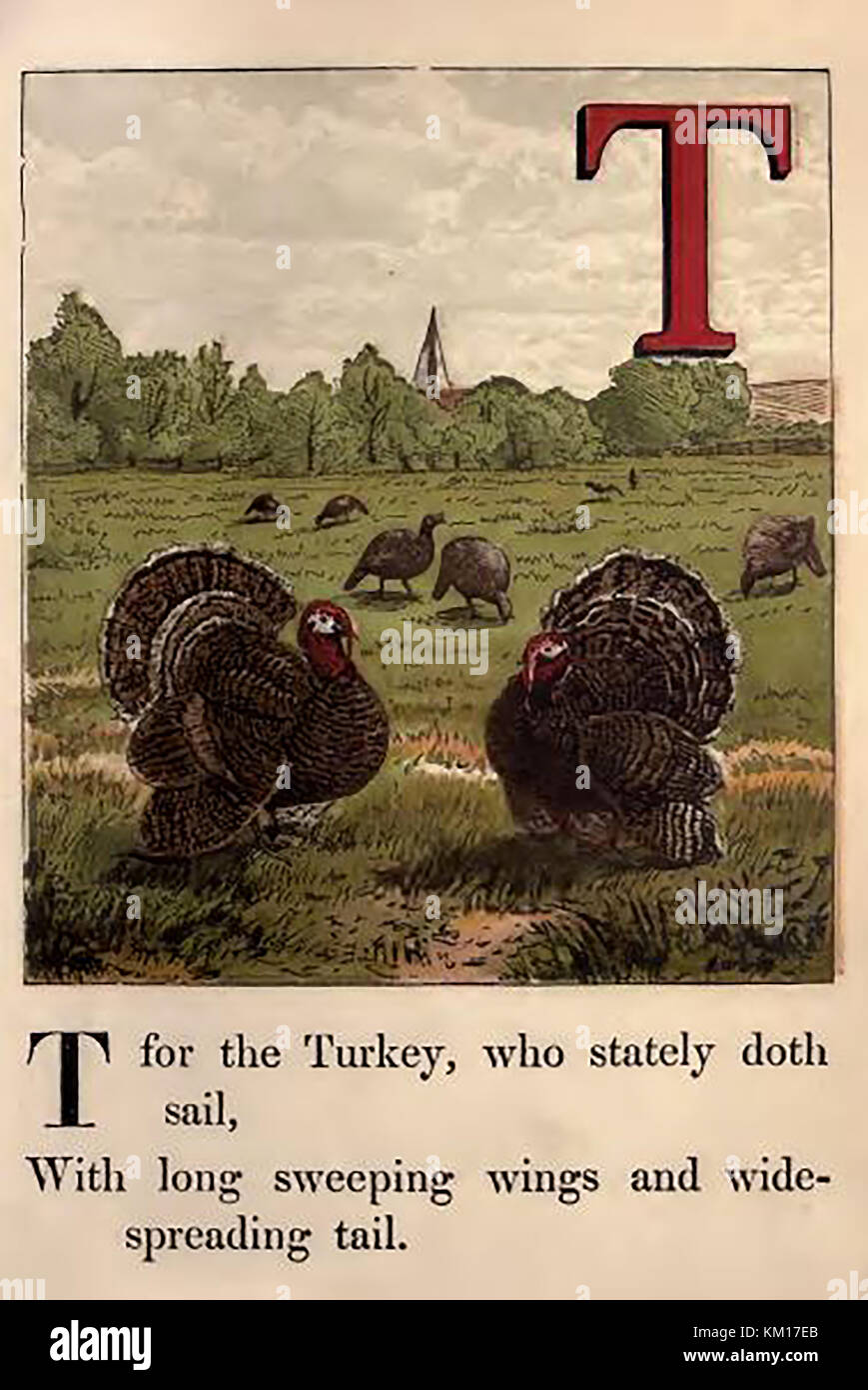 An historic coloured Victorian children's ABC book illustration - T for ...