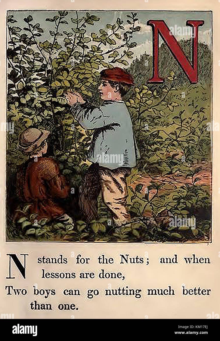 An historic coloured Victorian children's ABC book illustration - N for ...