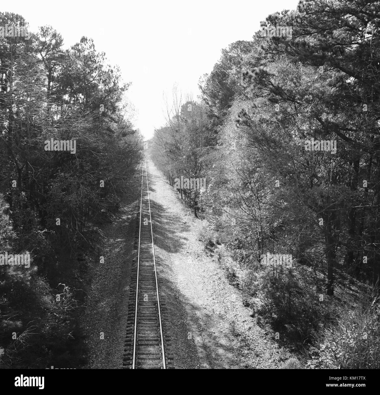 Fall paper Black and White Stock Photos & Images - Alamy