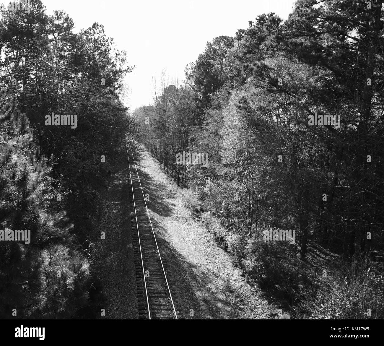 Fall paper Black and White Stock Photos & Images - Alamy