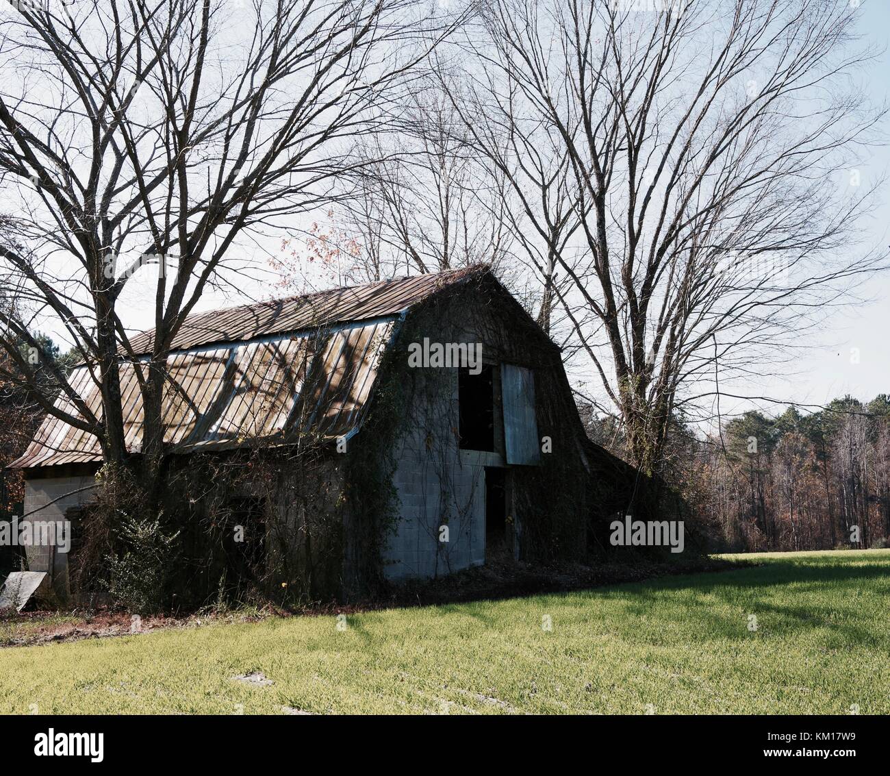 Beautiful field green winter hi-res stock photography and images - Alamy