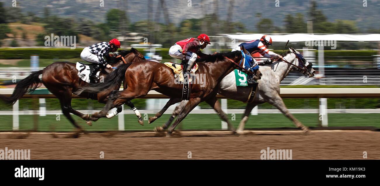 Hore racing hi-res stock photography and images - Alamy