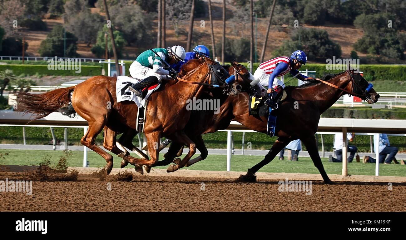 Home stretch race horses Stock Photo - Alamy