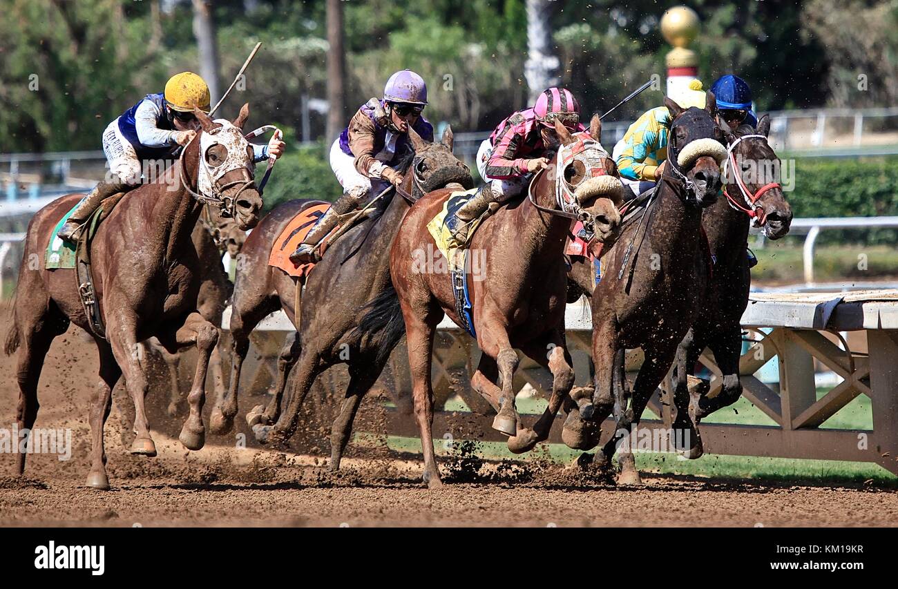 Home stretch race horses Stock Photo - Alamy