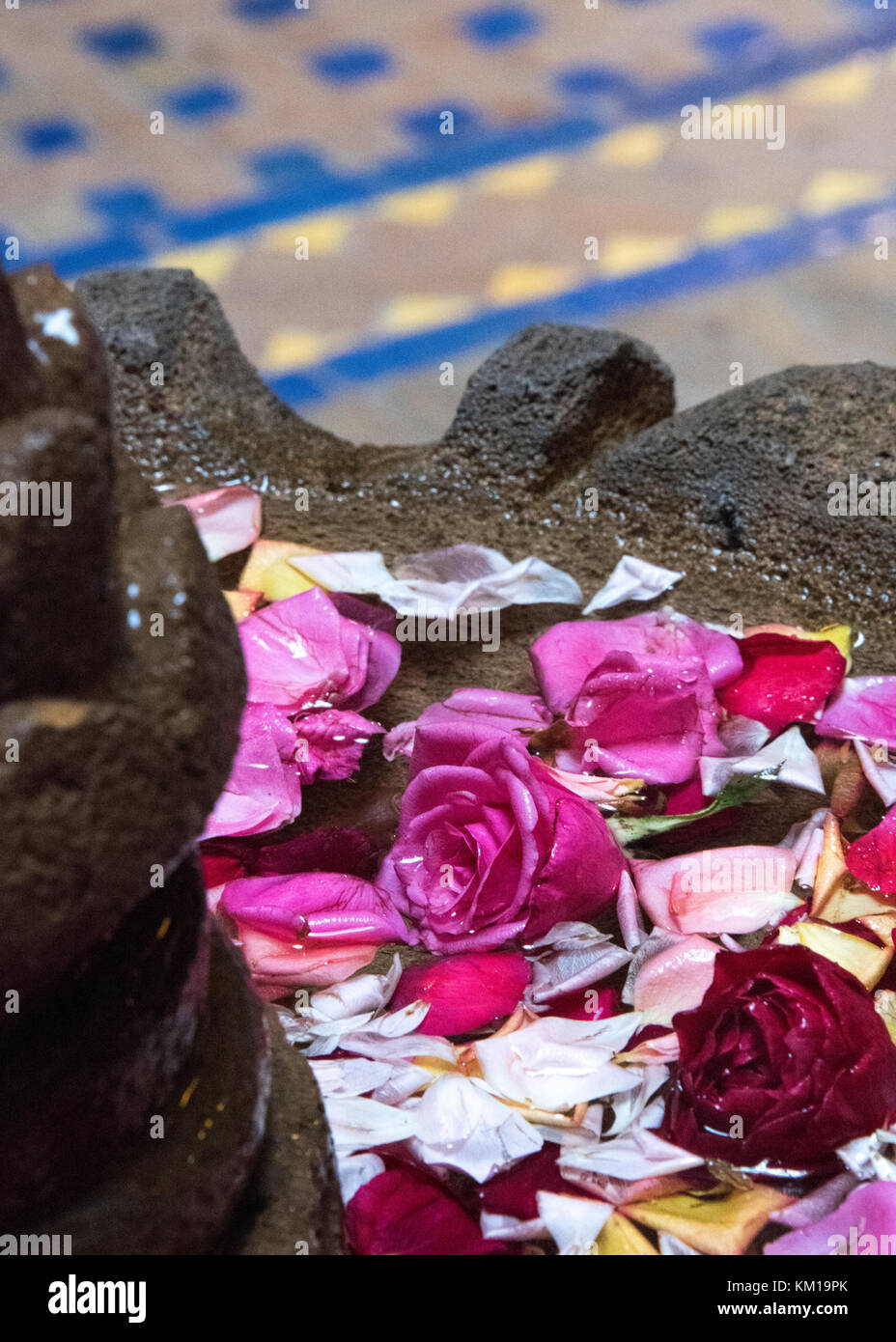 Rose petals & flowers float in a courtyard fountain- shallow depth of ...