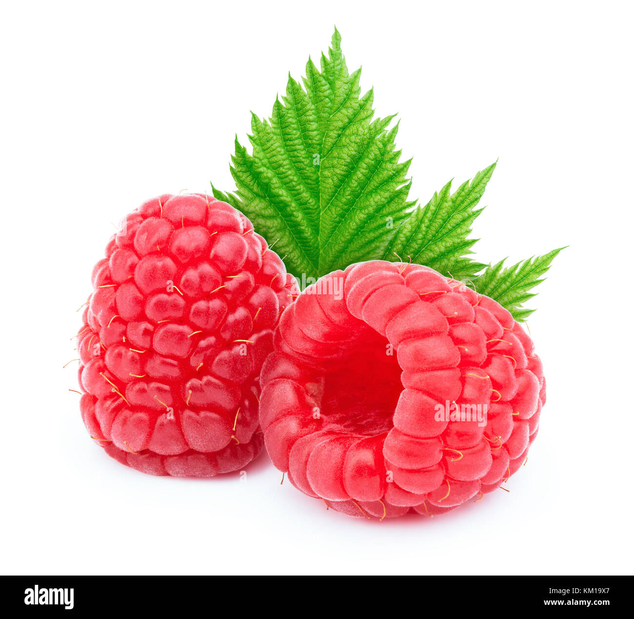 Two ripe raspberries isolated Stock Photo - Alamy