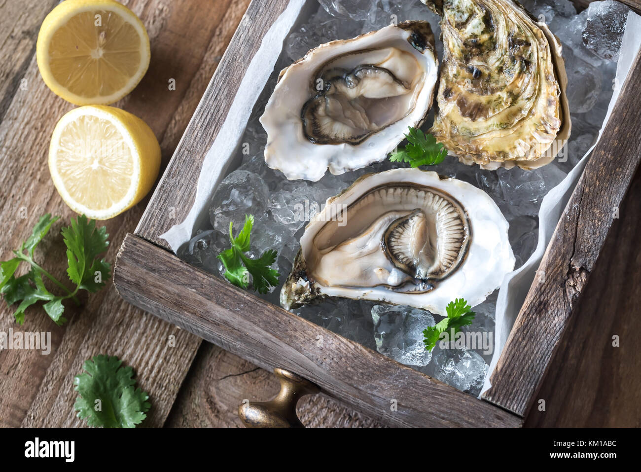 Raw oysters in the wooden box Stock Photo - Alamy