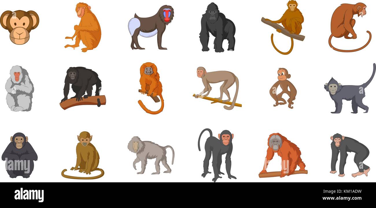 Monkey icon set, cartoon style Stock Vector Image & Art - Alamy