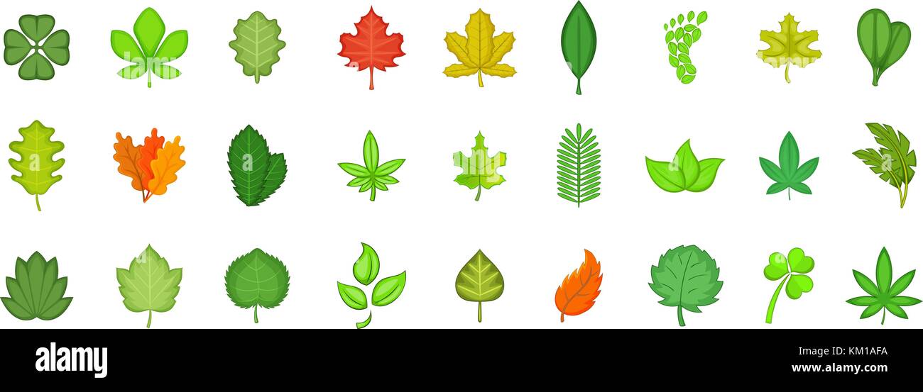 Leaf icon set, cartoon style Stock Vector Image & Art - Alamy