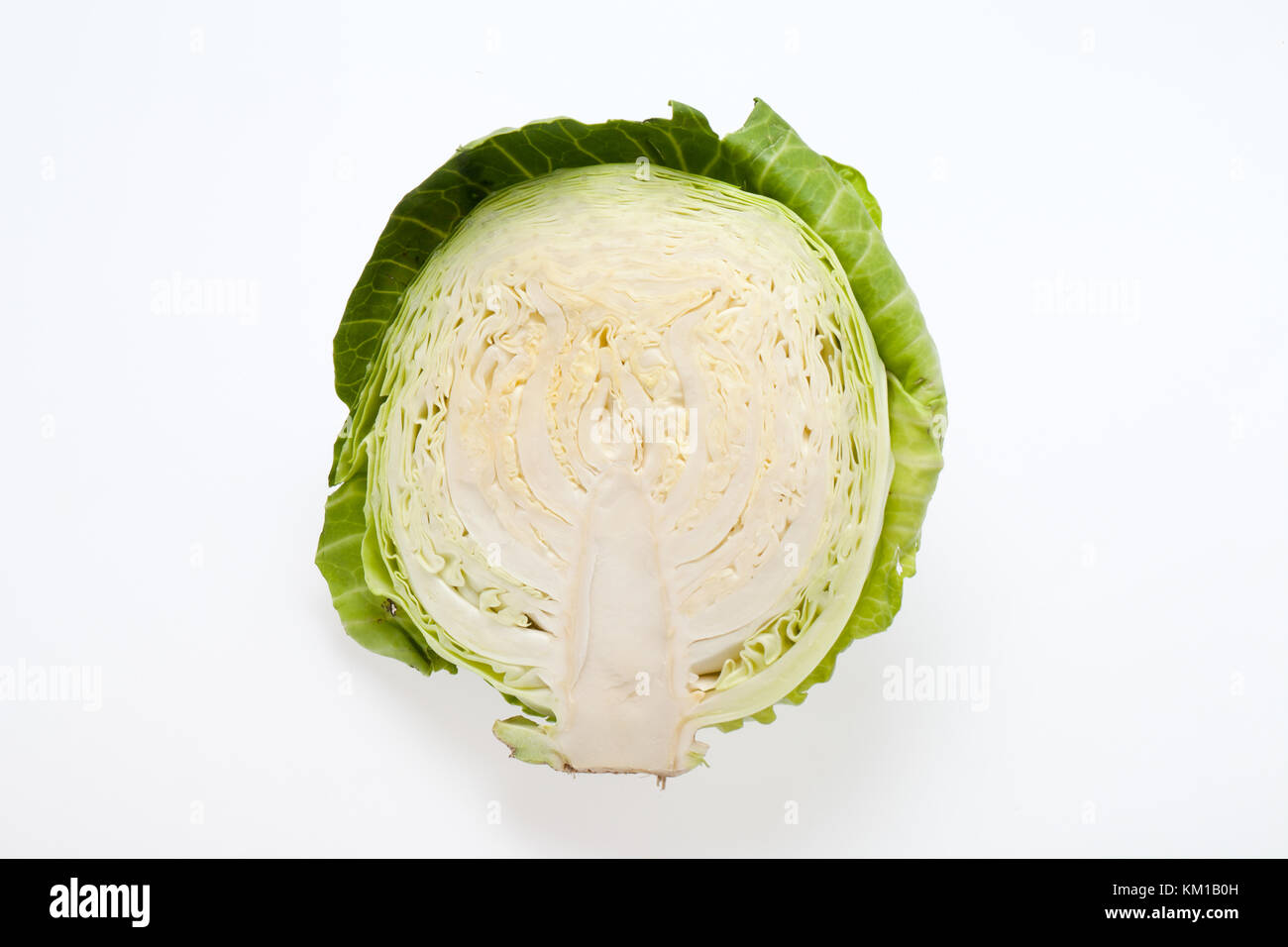 White Cabbage cross section on White Background Stock Photo - Alamy
