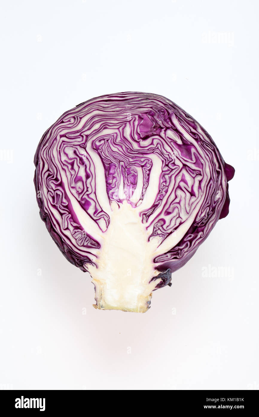 Red Cabbage cross section on White Background Stock Photo - Alamy