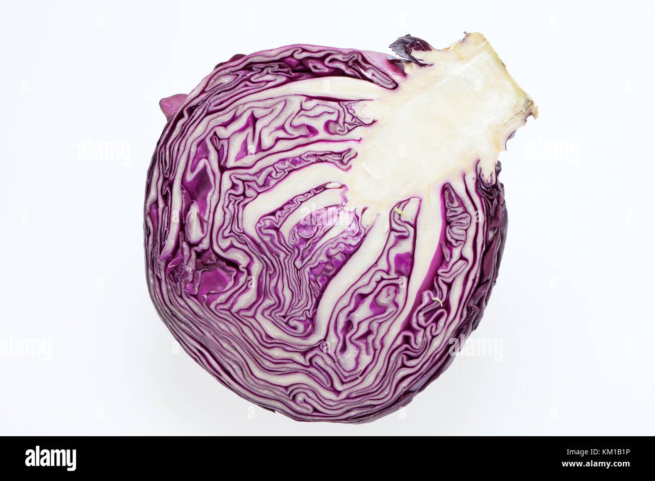 Red Cabbage cross section on White Background Stock Photo - Alamy