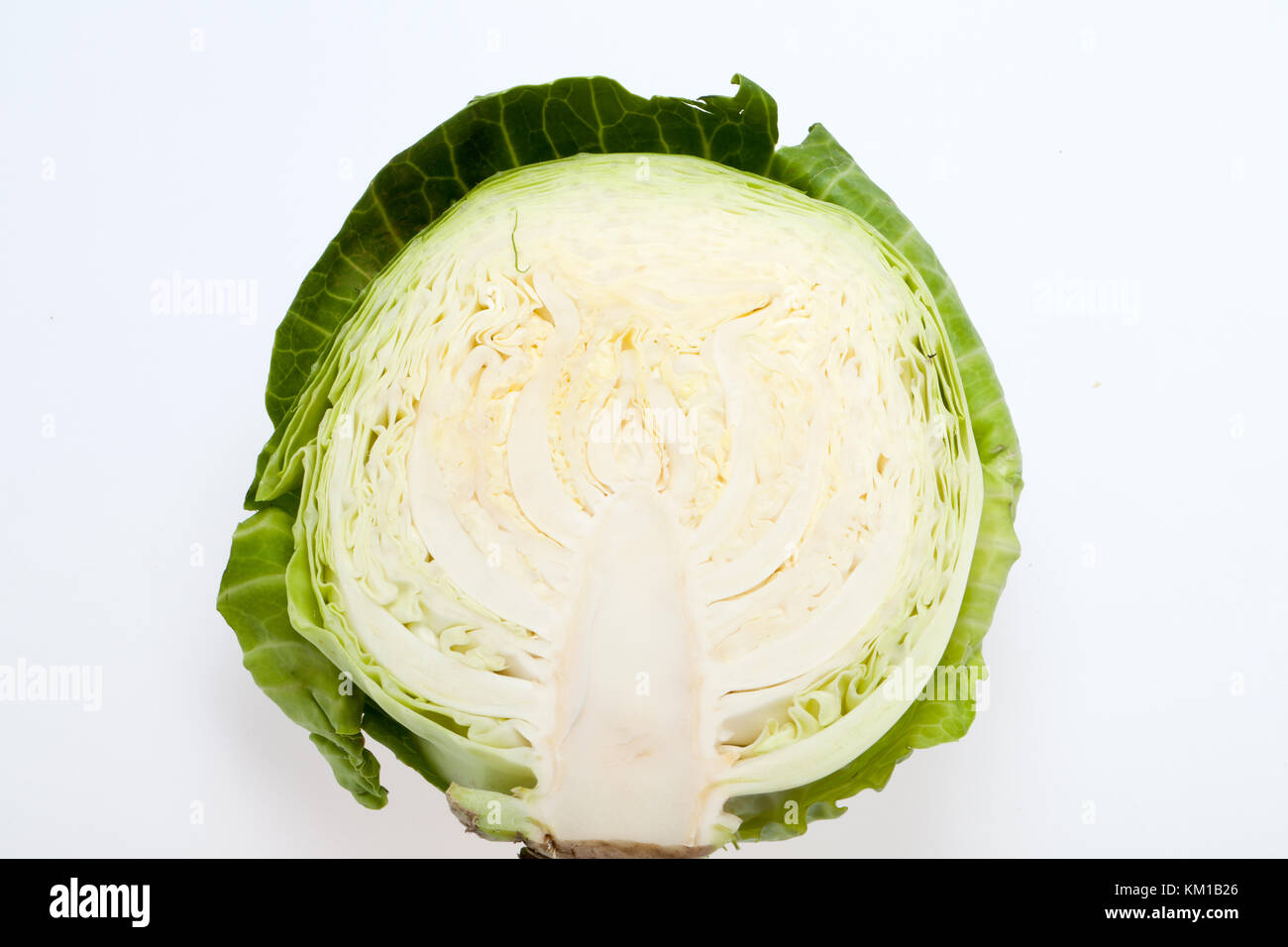 White Cabbage cross section on White Background Stock Photo - Alamy