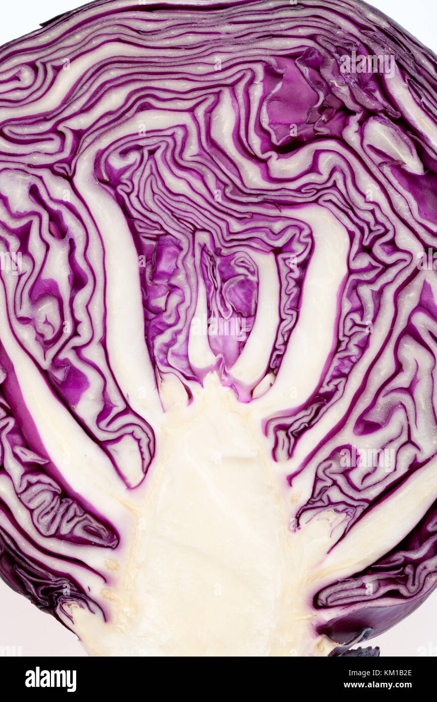 Red Cabbage cross section on White Background Stock Photo - Alamy
