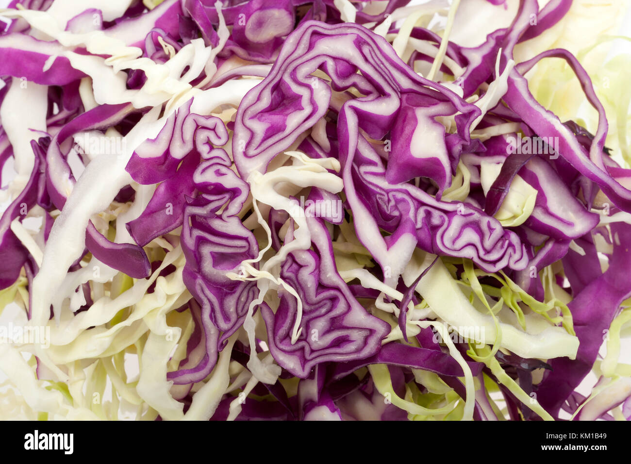 White and Red Cabbage on White Background Stock Photo - Alamy