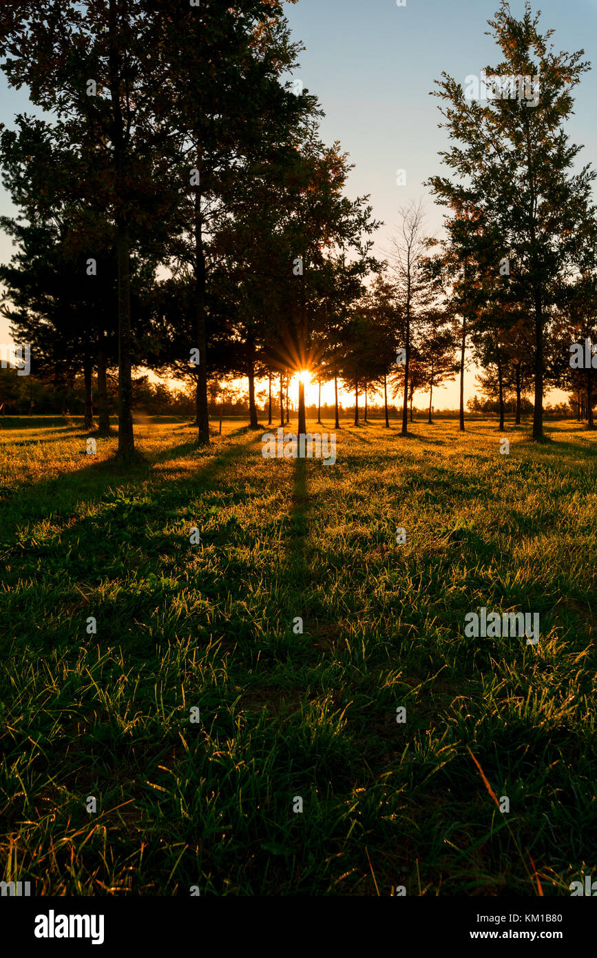 Beaming sun hi-res stock photography and images - Alamy