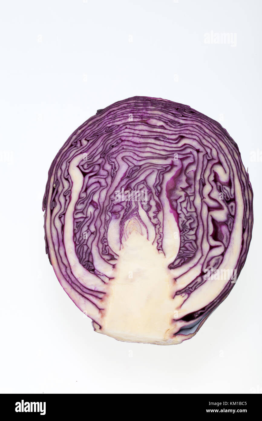 Red Cabbage cross section on White Background Stock Photo - Alamy