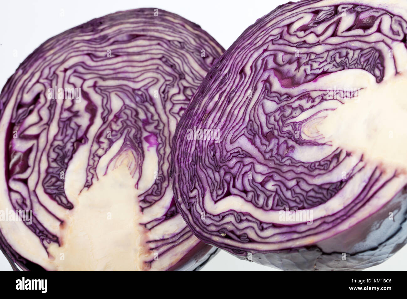 Red Cabbage cross section on White Background Stock Photo - Alamy