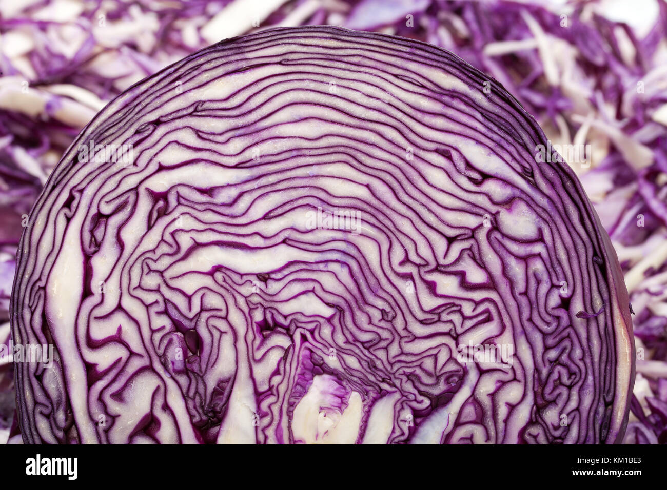 White and Red Cabbage Stock Photo - Alamy