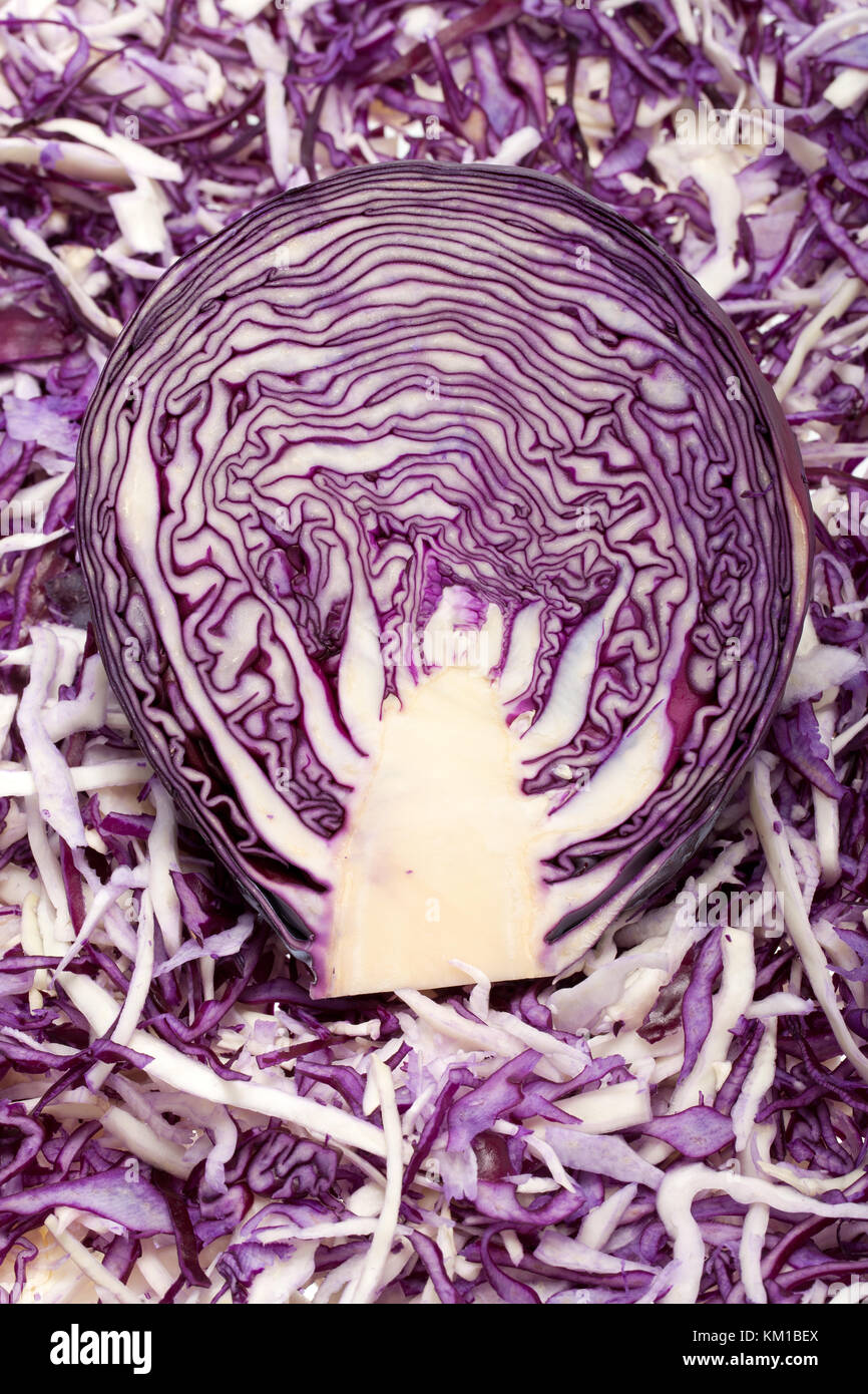 White and Red Cabbage Stock Photo - Alamy
