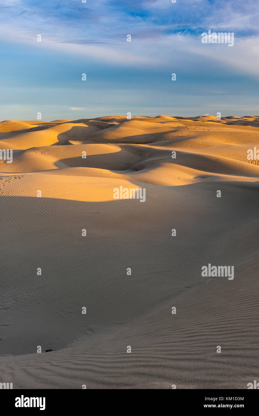 Oceano dunes state vehicular hi-res stock photography and images - Alamy