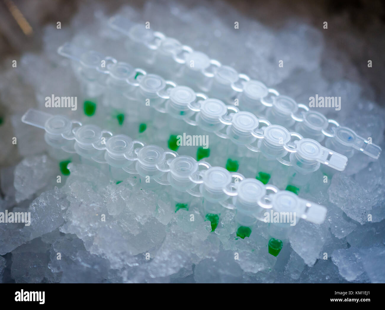 Biomedical research in laboratory Stock Photo - Alamy