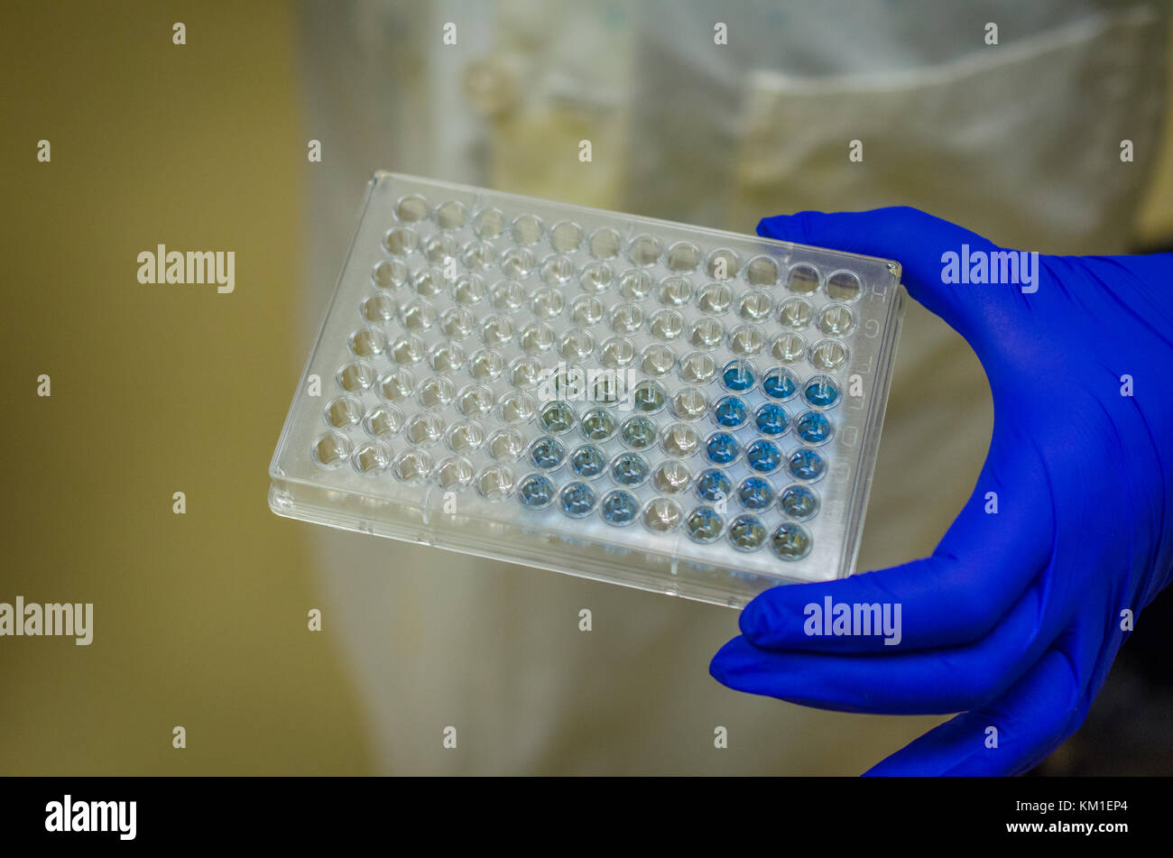 Biomedical research in laboratory Stock Photo - Alamy