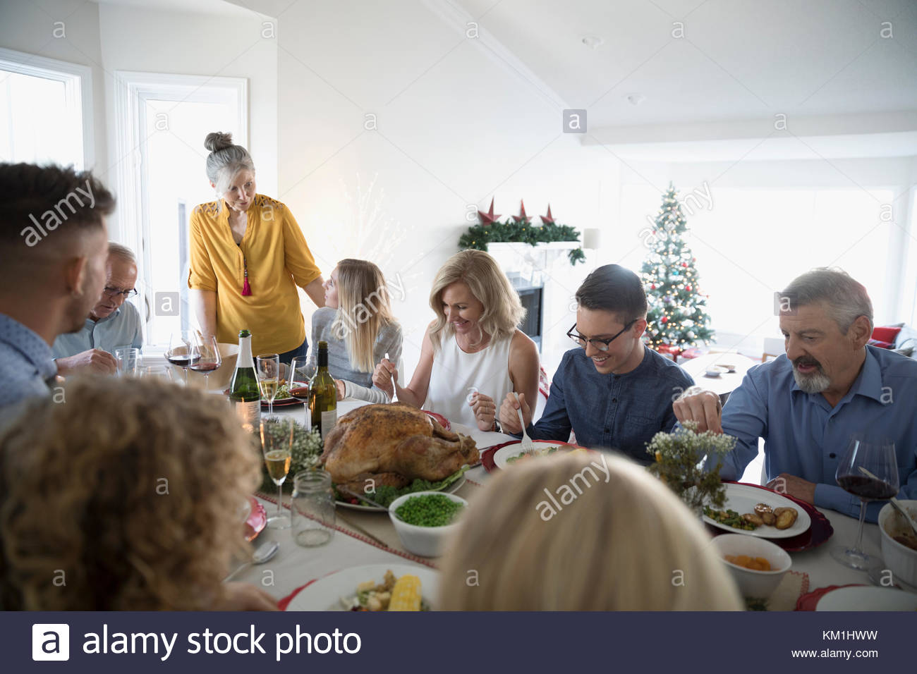 Thanksgiving turkey dinner family hi-res stock photography and images ...
