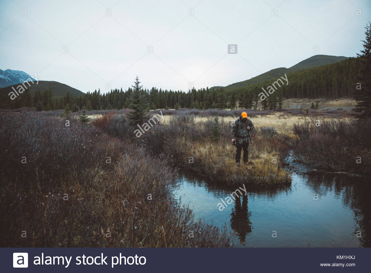Tracking field hi-res stock photography and images - Alamy