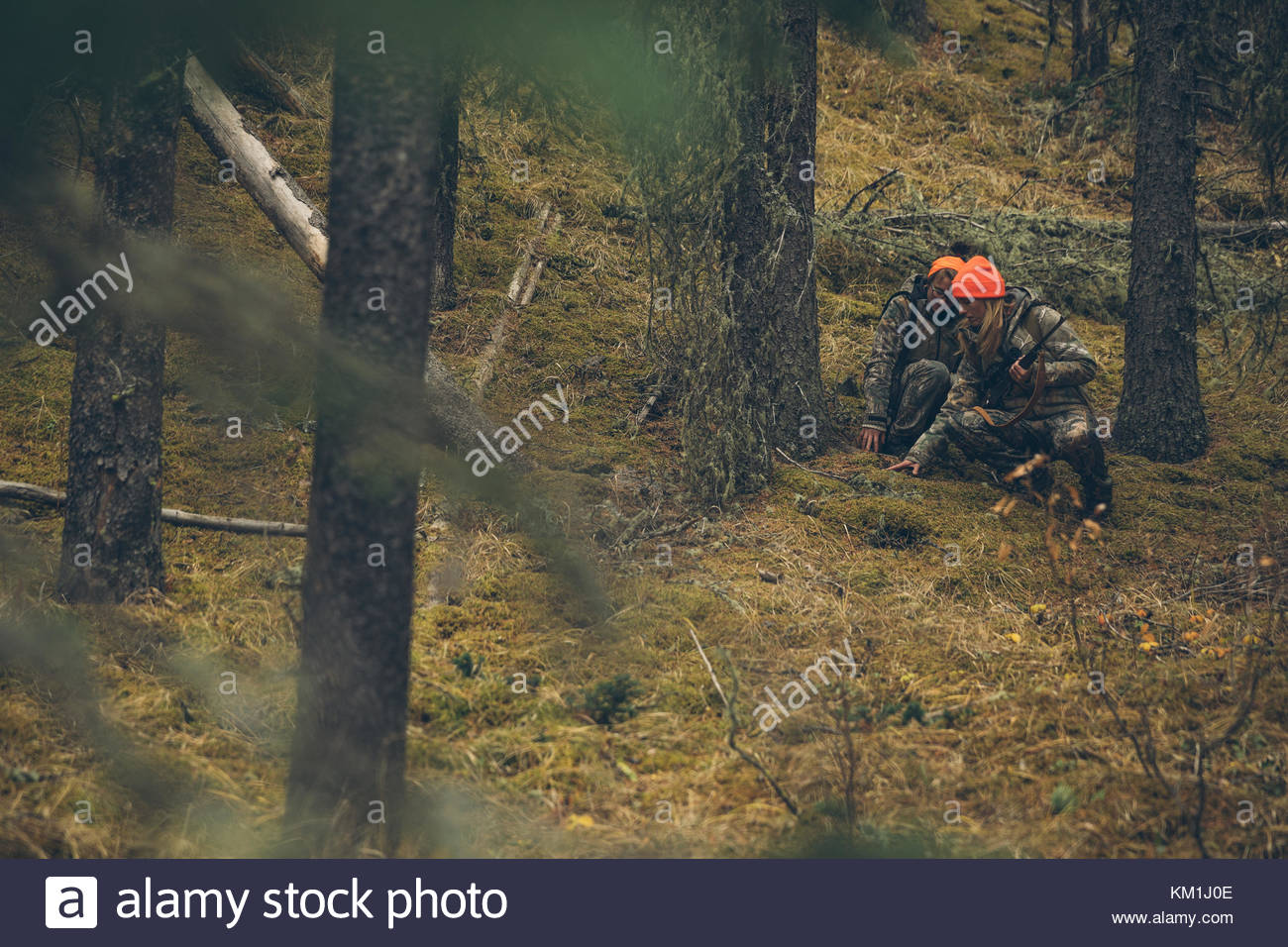 Mother and daughter hunters hunting, tracking at tree in forest Stock ...