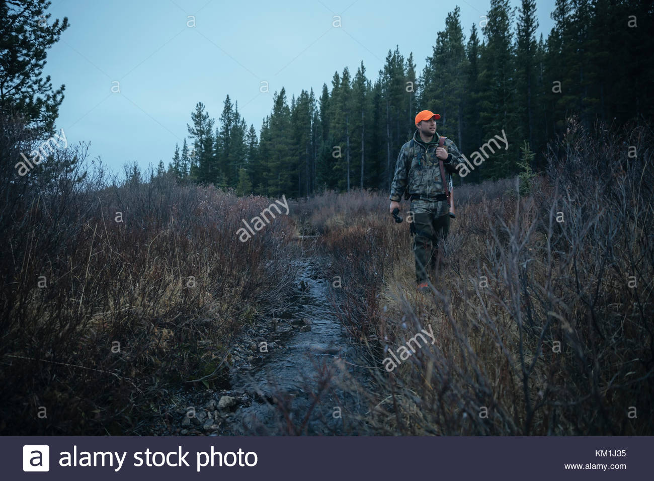 Male hunter in camouflage with hunting rifle walking along trail in ...