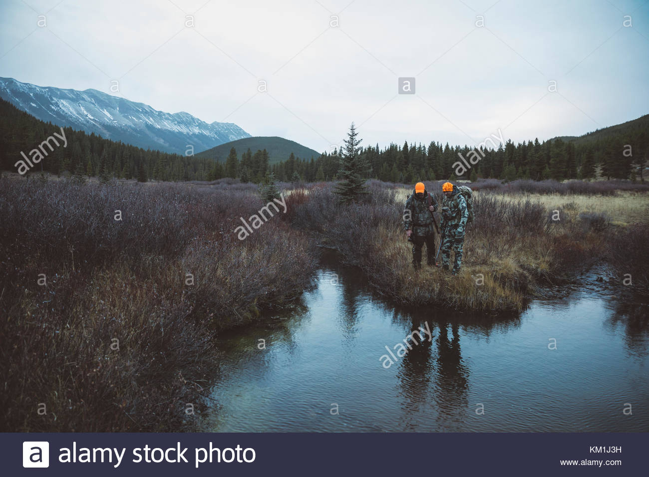 Tracking down hi-res stock photography and images - Alamy