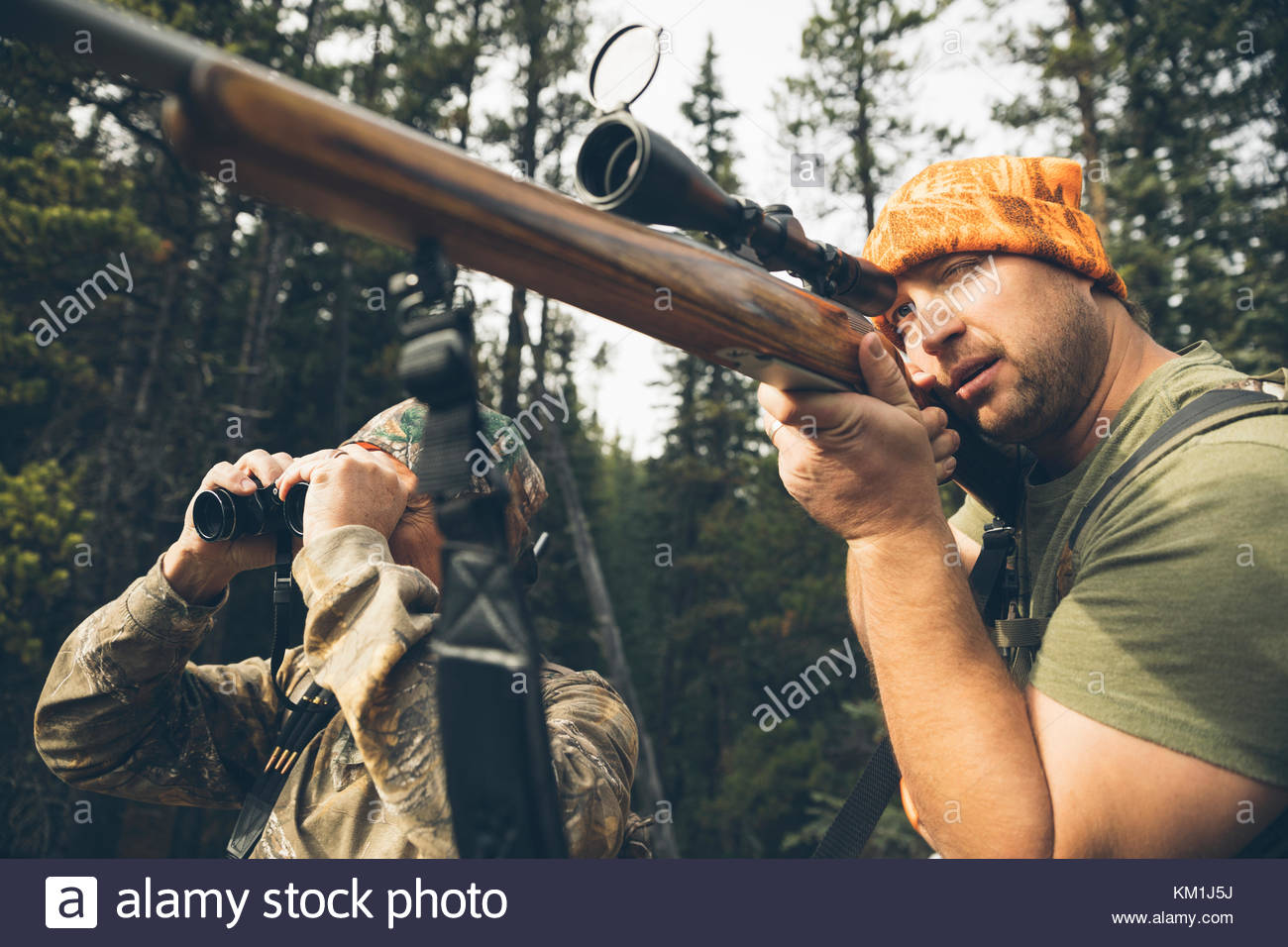 Aiming the rifle hi-res stock photography and images - Alamy