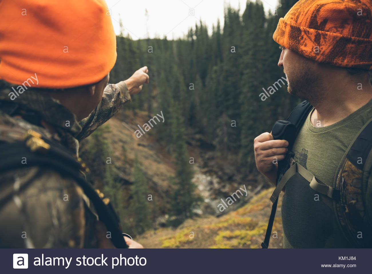 Hunters woods hi-res stock photography and images - Alamy
