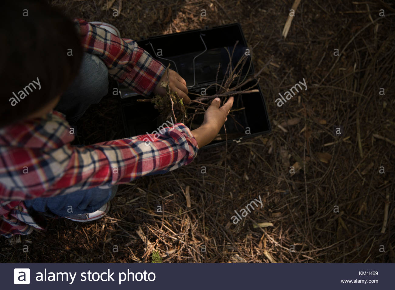 Gathering sticks forest hi-res stock photography and images - Alamy