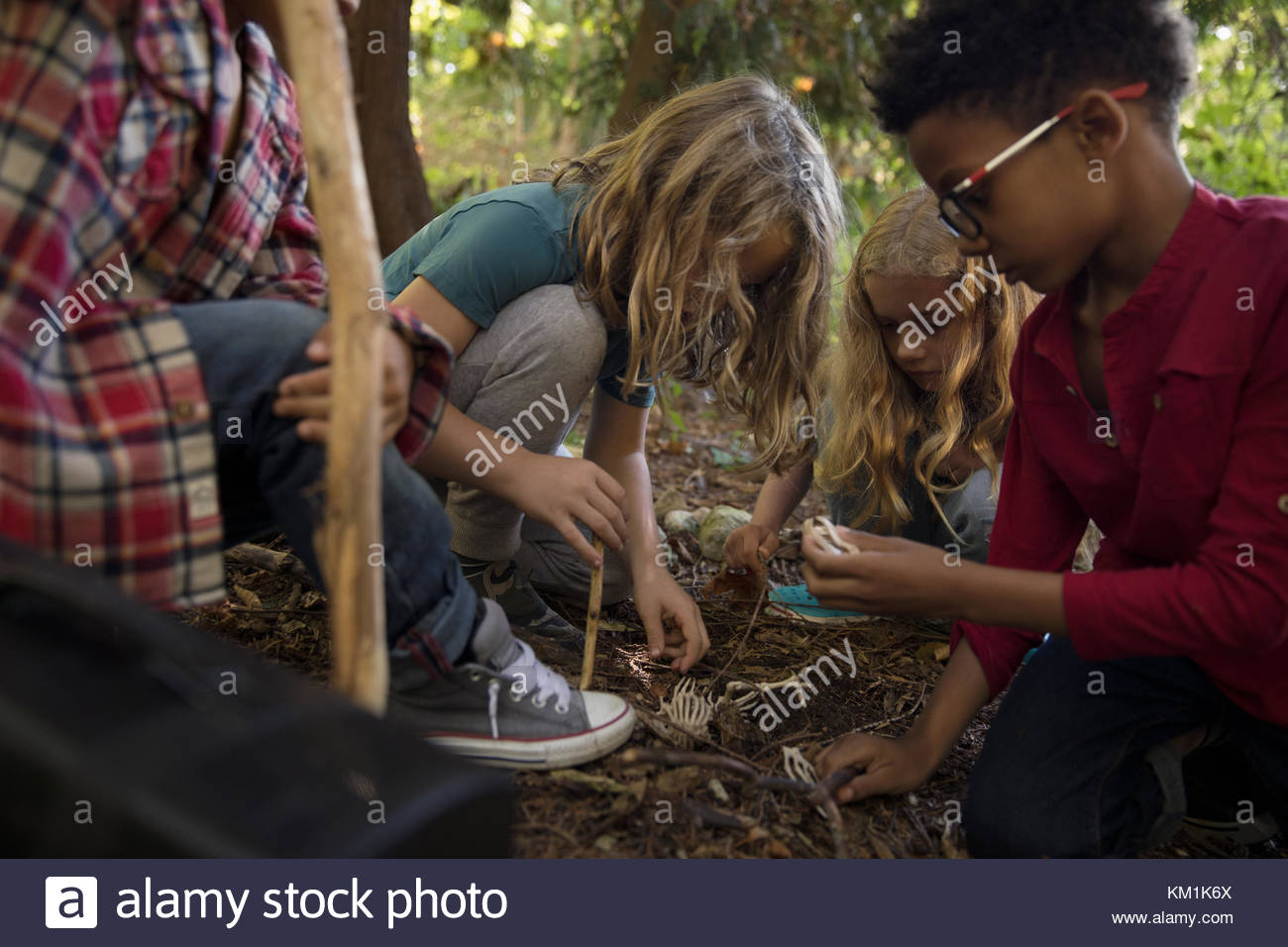 Girl in woods with walking stick hi-res stock photography and images ...