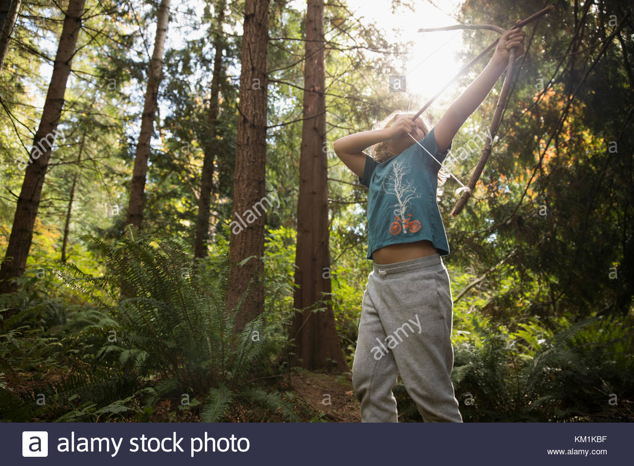 Person with bow and arrow hi-res stock photography and images - Alamy