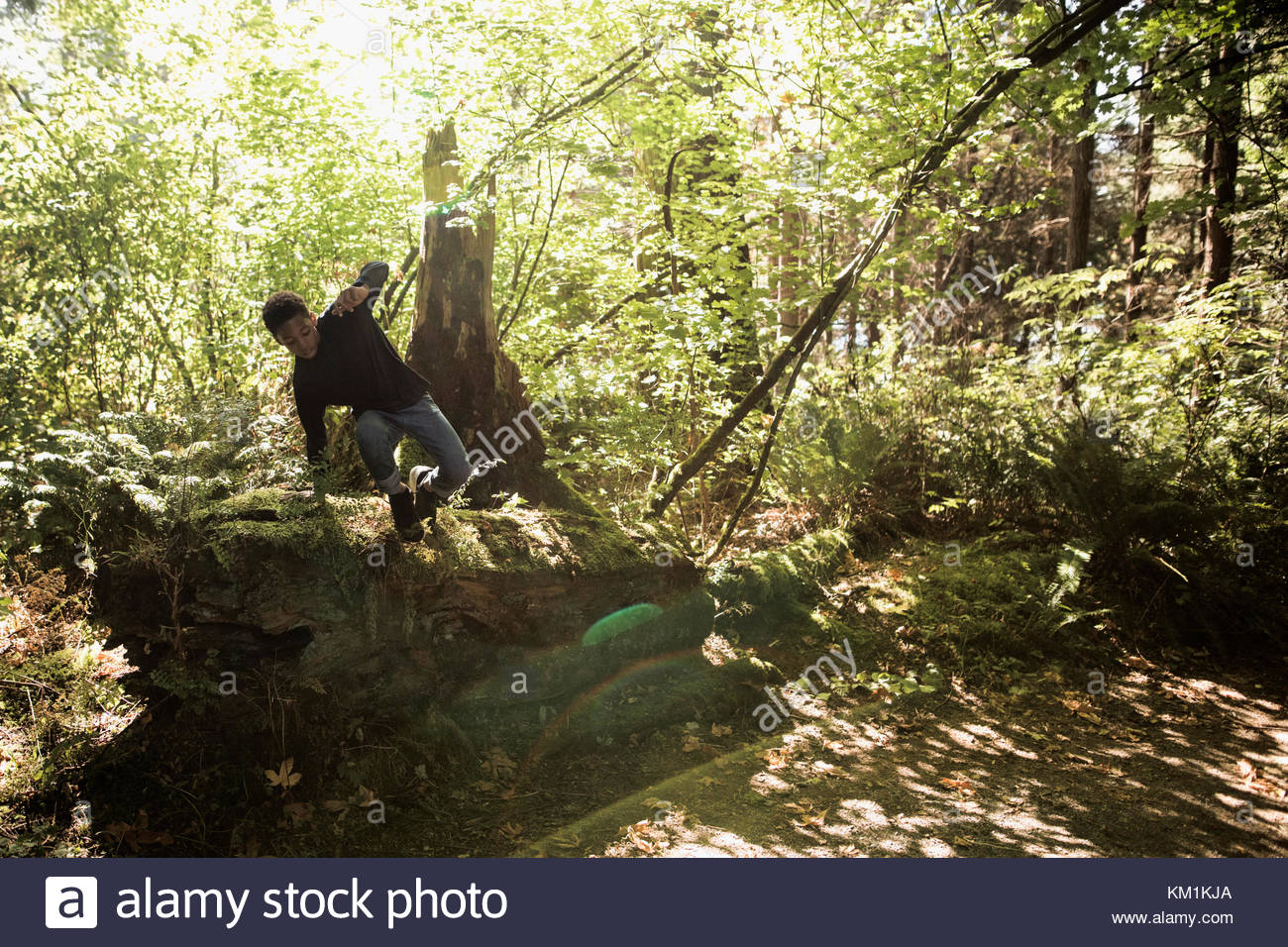 Boy jumping from tree hi-res stock photography and images - Alamy