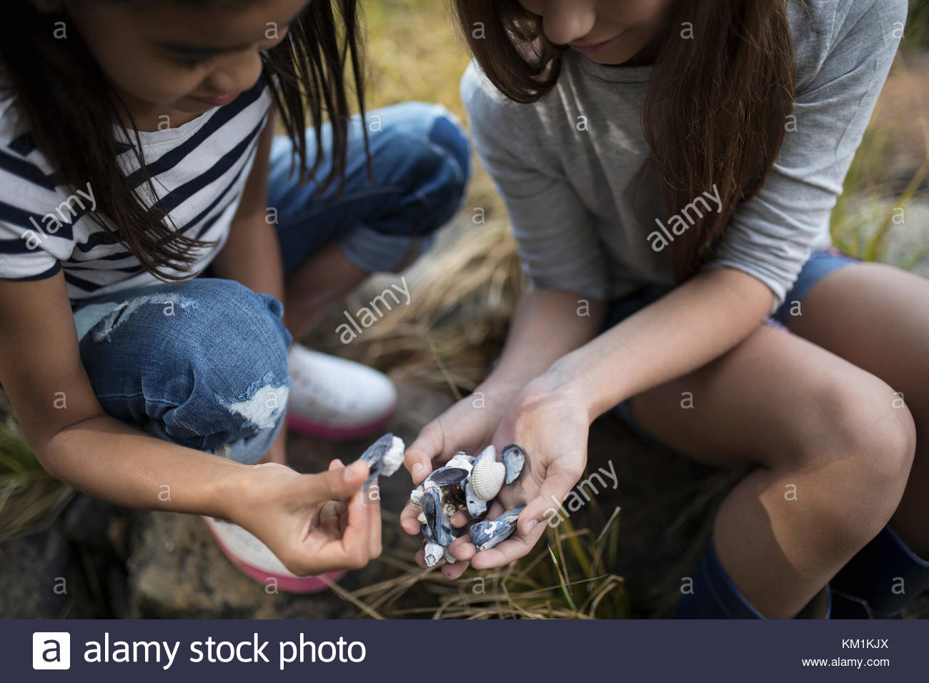 Gathering mussels hi-res stock photography and images - Alamy